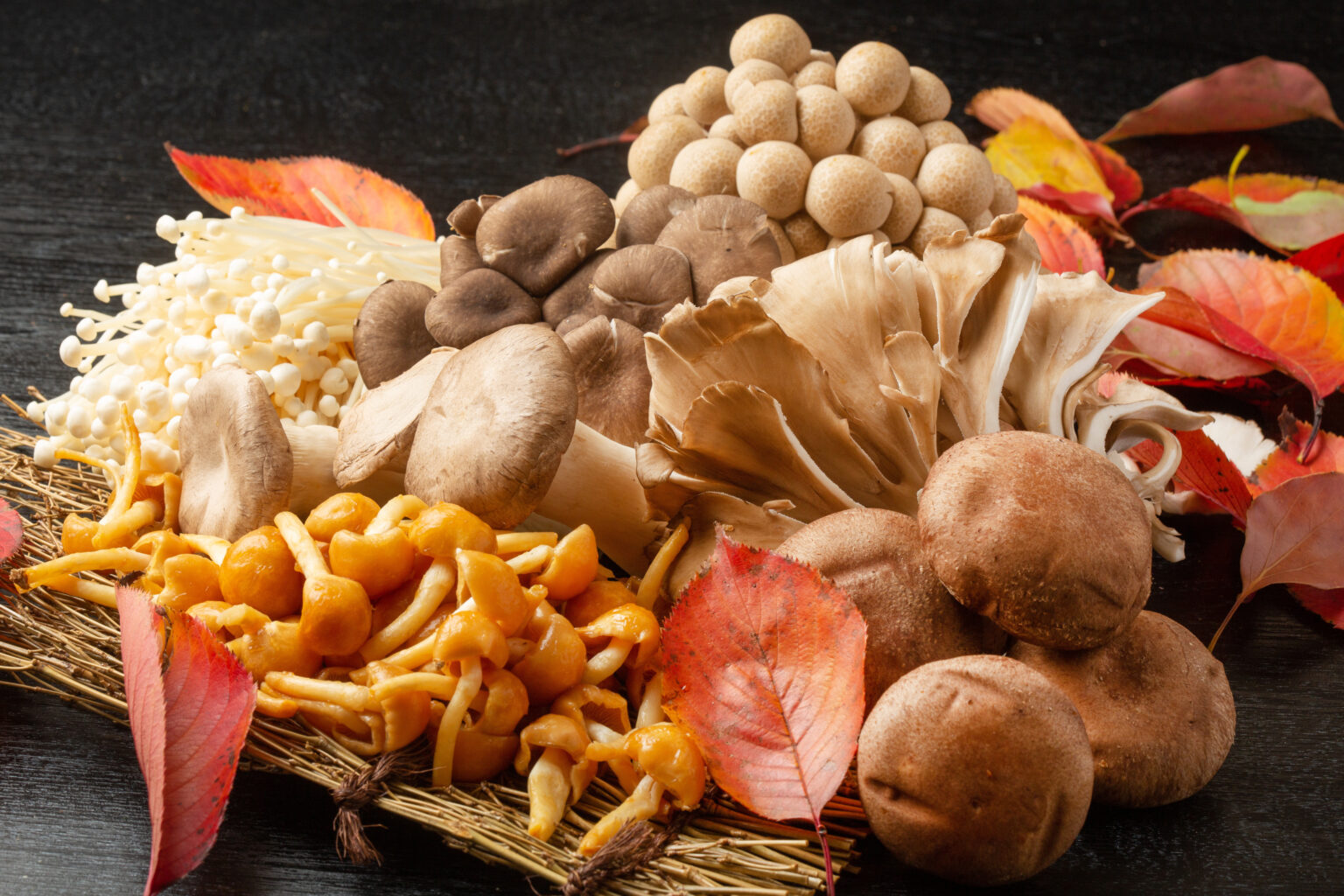 食用きのこ10種類｜特徴とおいしさを格上げするおすすめ料理も紹介！ – CosmoSparkJOURNAL